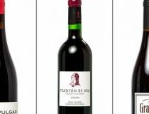 Spanish wines among the best in the world! – NORPOL Invest Group